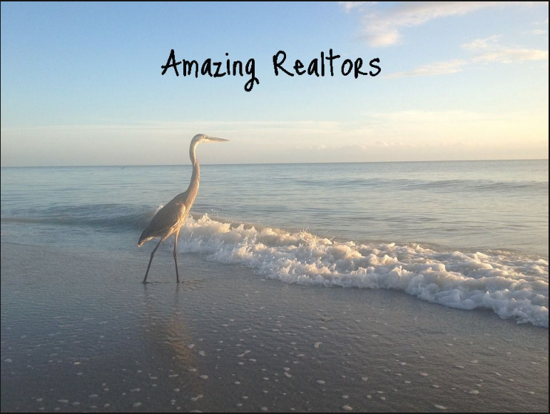 Client Testimonials - Team Richard Capps ~ Fine Properties